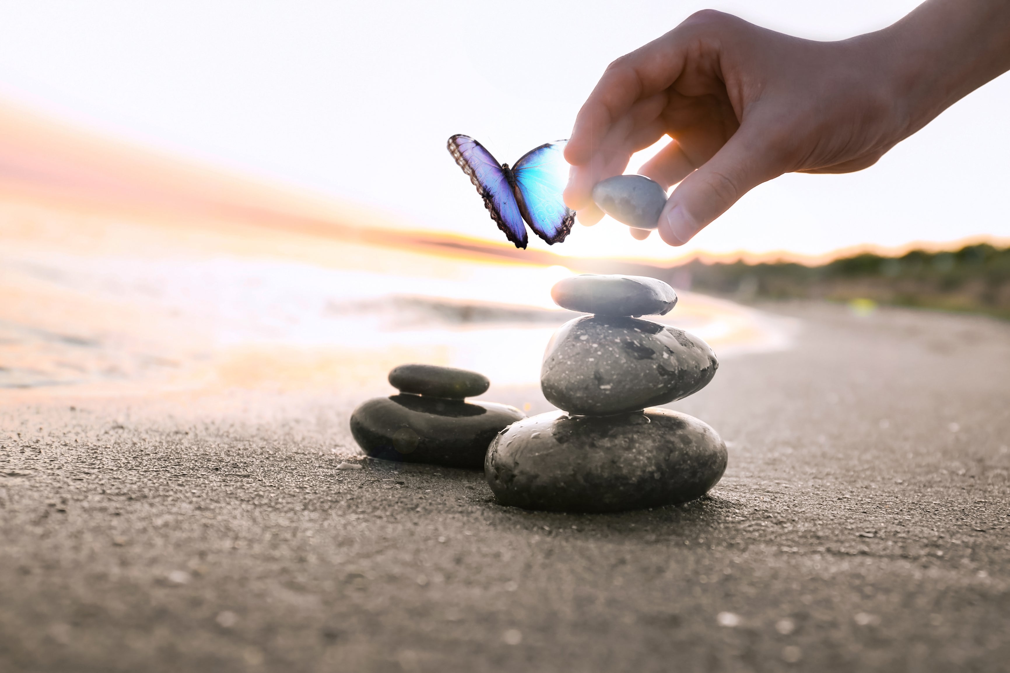 Building A Foundation For Health – Integral Health Community